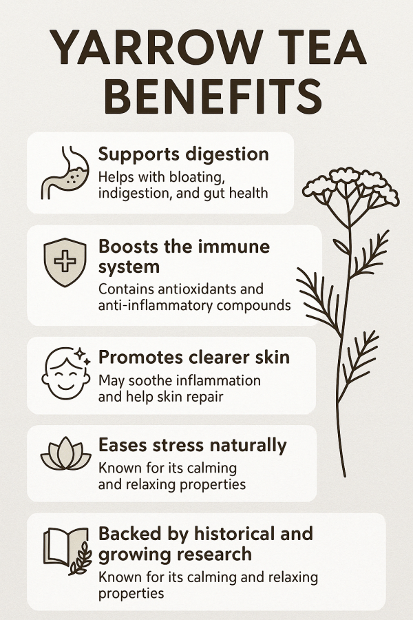 Yarrow Tea Benefits: Natural Wellness in Every Cup - Body in Harmony ...
