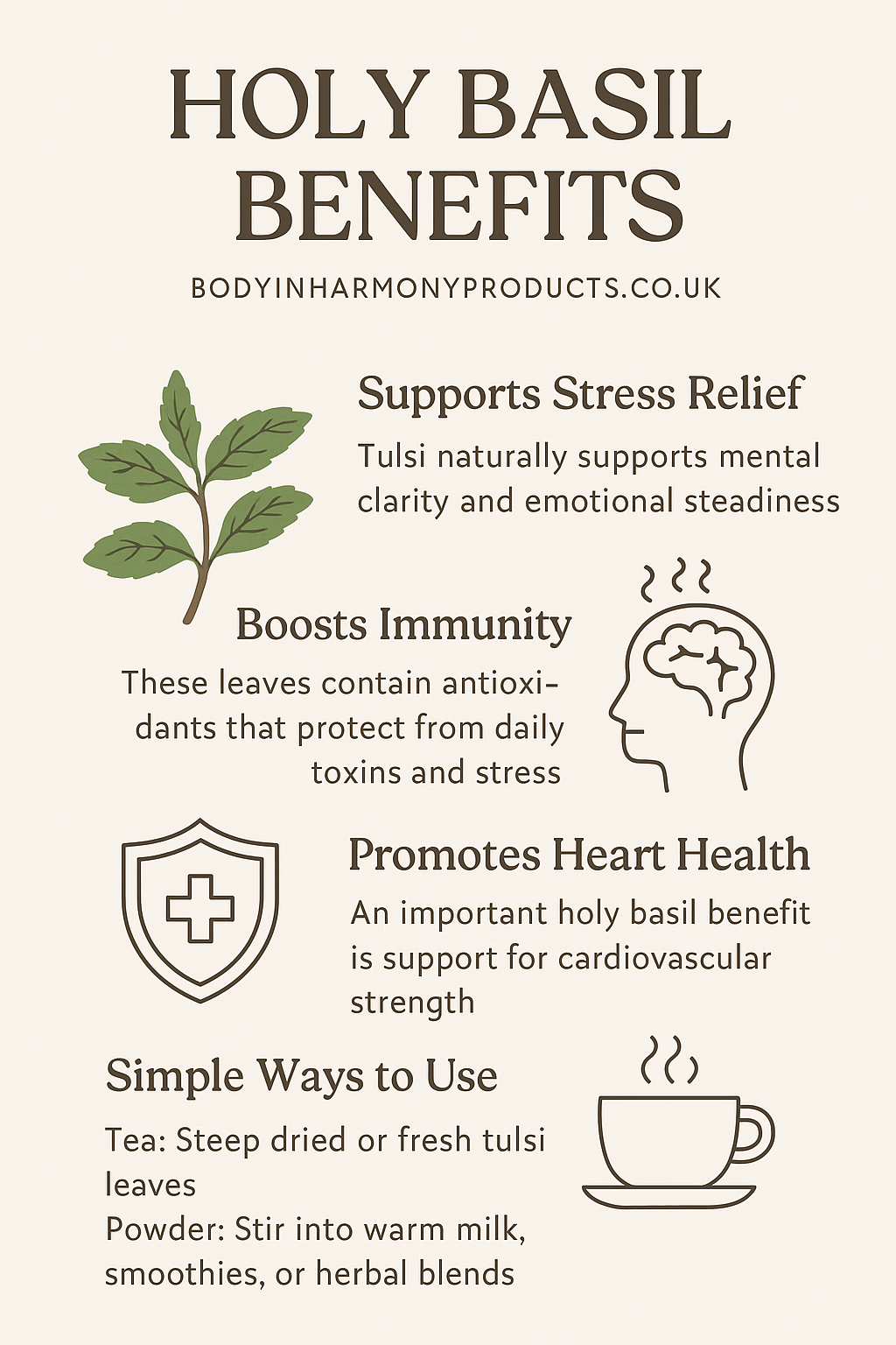 Holy Basil Benefits for Stress, Immunity & Heart Health - Body in ...