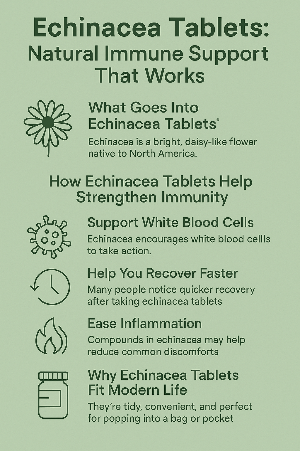 Echinacea Tablets: Natural Immune Support That Works - Body in Harmony ...
